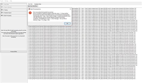 Ilastik Error Encountered During During Batch Processing Errno2