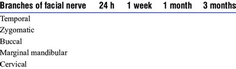 Facial Nerve Injury Assessment House Brackmann Facial Nerve Grading