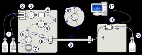 12 Schematic Representation Of A Hplc System 1 Solvent Reservoirs Download Scientific