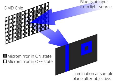 Landscape Of Sequencing Based Spatial Rna Technology Part I