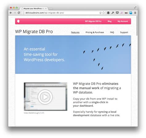 WP Migrate DB Pro Review