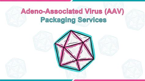 Vectorpedia Video Gallery Vectorbuilder