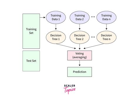 Random Forest In R Programming Scaler Topics