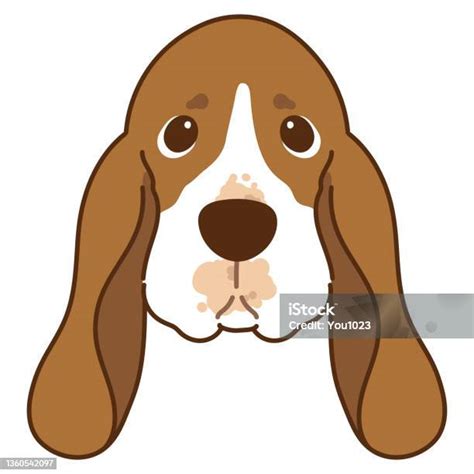 바셋 하운드 프론트 헤드의 간단하고 사랑스러운 윤곽 그림 만화에 대한 스톡 벡터 아트 및 기타 이미지 만화 바셋하운드 가축 Istock