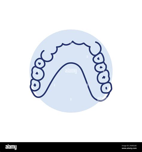 Removable Partial Denture Line Icon Dental Prosthetic Vector