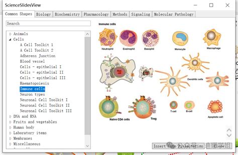 科研绘图神器：机制图、模式图有哪些好用的工具推荐？ 机制图用什么软件画 Csdn博客
