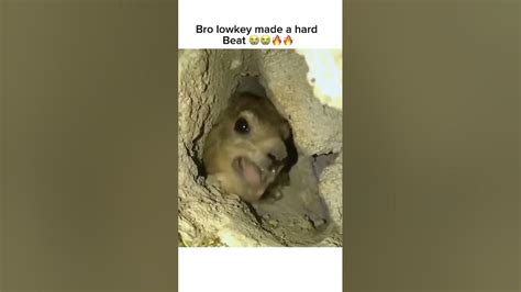 Blud Madeba Hard Beat Youtube