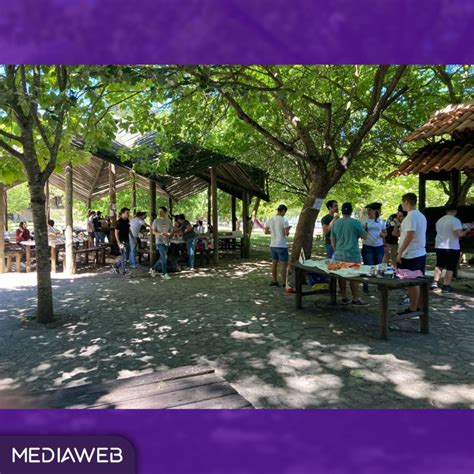 mediaweb on linkedin mediaweb summer event ☀️🚀