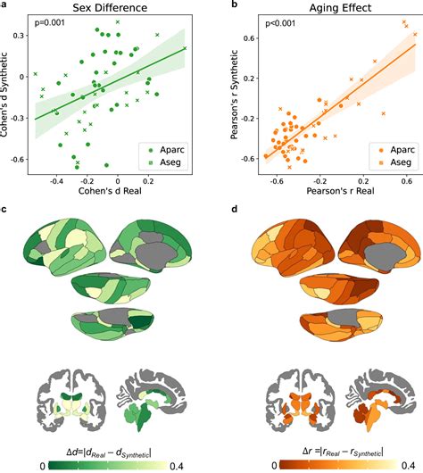 metadata conditioned generative models to synthesize anatomically