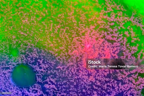 수채화 및 아크릴 추상입니다 화려한 배경입니다 믹스 밝아진 및 색상의 그림 노란색 녹색 빨간색 주황색 파란색 0명에 대한 스톡 사진 및 기타 이미지 Istock