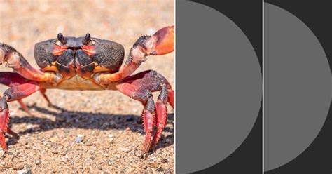 List Rustunity Curated By Shariful Islam Medium