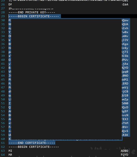 Vrealize Log Insight 36 Replace Ssl Certificate With Ca Chain And Revert Back To Self Signed