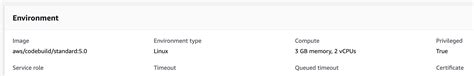 Docker In Docker Not Working Within Aws Codebuild Works Fine Locally