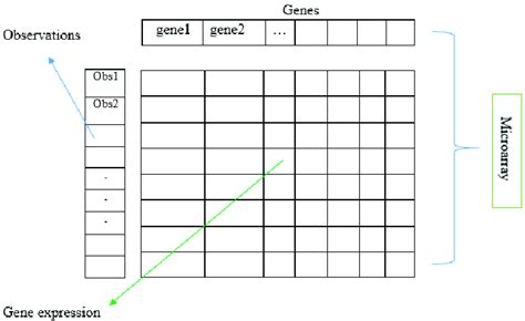 gene expression data download scientific diagram