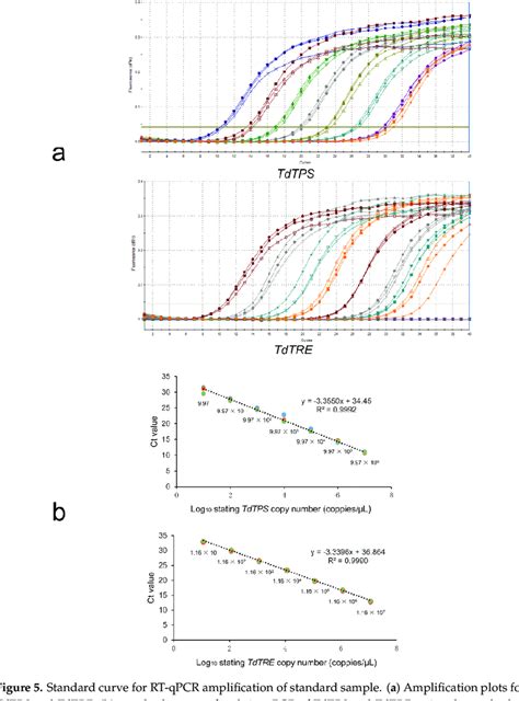 Standard Curve Qpcr Dilutions At Beulah Insley Blog