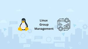 How To Create Groups In Linux Adding Users To Groups 1