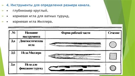 Пульпа,строение.Принципы эндодонтического лечения