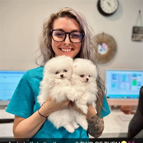 Luna Moon 🌝 Youtube