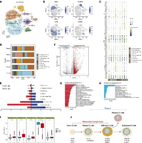 Figure 3 From Integrated Single Cell Transcriptome Analysis Of The Tumor Ecosystems Underlying