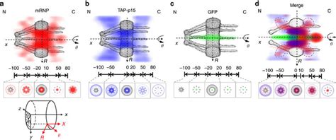 Visualization Visualizing Large Number Of Points As A D Density Map Data Science Stack Exchange