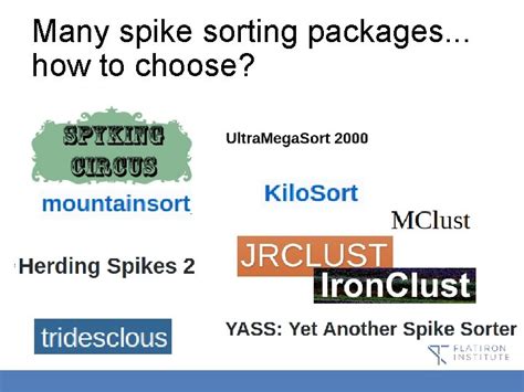 Deep Neural Networks For Spike Sorting Exploring Options