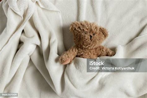 테디 브라운 베어는 나무 배경에 흰색 담요에 누워 있습니다 침대에 대한 스톡 사진 및 기타 이미지 침대 테디 베어 0명 Istock