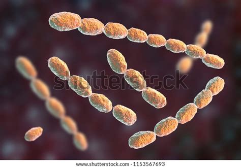Haemophilus Ducreyi Bacteria 3d Illustration Gram Negative