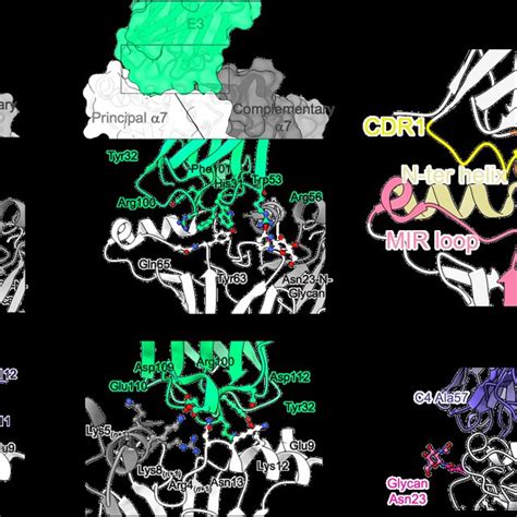 Bulk Cell Ntt Seq Enables Simultaneous Profiling Of Multiple Chromatin