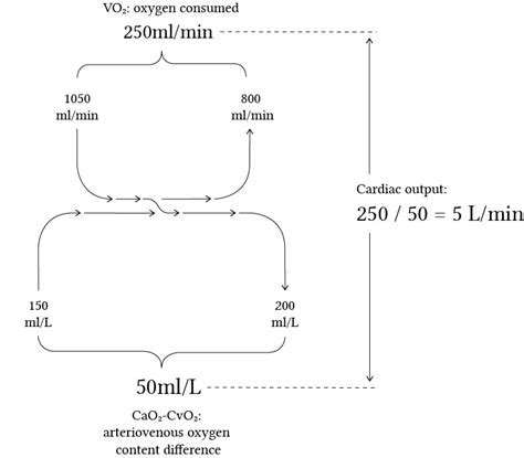Ficks Principle Of Cardiac Output Measurement Deranged Physiology