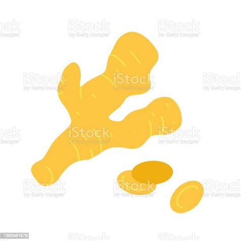 흰색 배경에 고립 된 생강 뿌리 조각 플랫 만화 벡터 일러스트레이션 개념에 대한 스톡 벡터 아트 및 기타 이미지 개념 건강관리와 의술 건강한 식생활 Istock