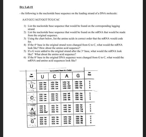 Solved Dry Lab 1 The Following Is The Nucleotide Base