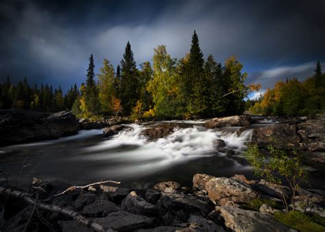 Malte Johansson Naturfotograf Part Fotografering Och Fotokonst
