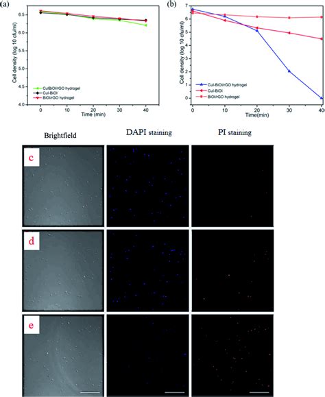 E Coli K 12 1065 Cfu Ml⁻¹ Inactivation By Prepared Download