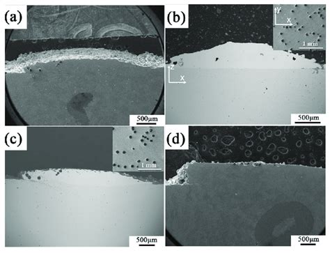 The Microstructures Of Longitudinal Section With Cross Section Inside