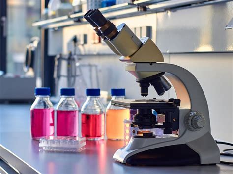 Combining Detection Of Small Regulatory Rna With Target Rnas