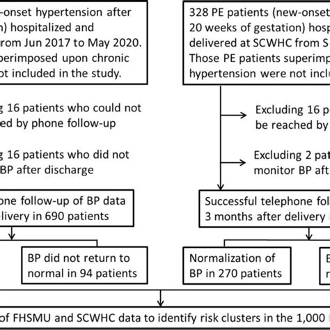 Study Flowchart Outlining The Composition Of Final Pe Cohort Using The