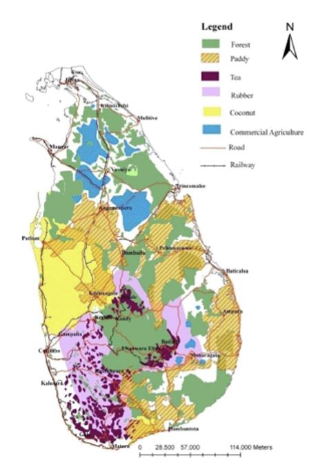 වනාන්තර ඇතුළු ස්වාභාවික සම්පත් වනසන නව ලිබරල් ආර්ථික සංවර්ධනය ව්‍යුහයට විකල්පයක් අවශ්‍යය Vikalpa