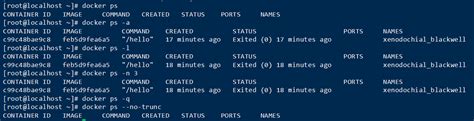 Docker 常用【容器】命令 Docker进入容器命令 Csdn博客