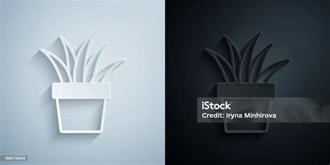 회색과 검은 색 배경에 고립 된 냄비 아이콘에 종이 컷 식물 냄비에서 자라는 식물 화분에 심은 식물 표지판 종이 아트 스타일 벡터 0명에 대한 스톡 벡터 아트 및 기타