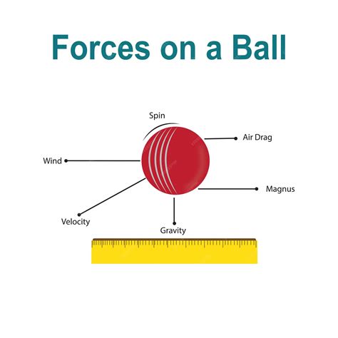 Premium Vector Illustration Of Forces Acting On A Ball