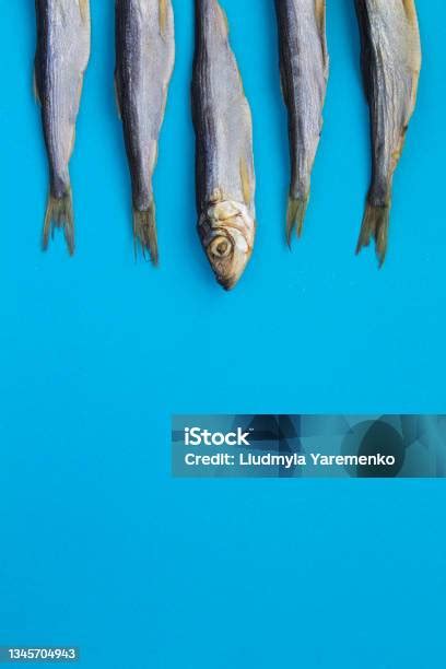 파란색 배경에 작은 청어 맨 위 보기입니다 공간을 복사합니다 정어리에 대한 스톡 사진 및 기타 이미지 정어리 0명 건강한 식생활 Istock