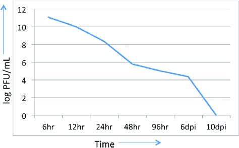 Bacteriophage Isolation Bacteriophage Load In Pfu Ml From Lung Tissue Download Scientific