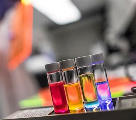 Majors Degrees And Programs Michigan State University