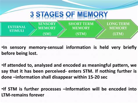 Information Processing Theoryipt Pptx