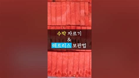 세균 걱정 없이 수박 자르고 보관하는 법 Shorts Youtube
