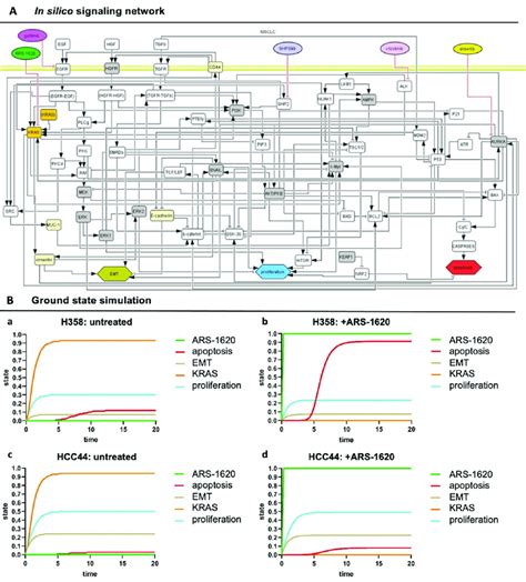 In Silico Signaling Network Topology Used For H358 And Hcc44 Therapy Download Scientific