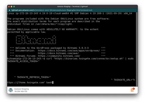 Free Easy Staging Environments For WordPress Sites On AWS Twingate