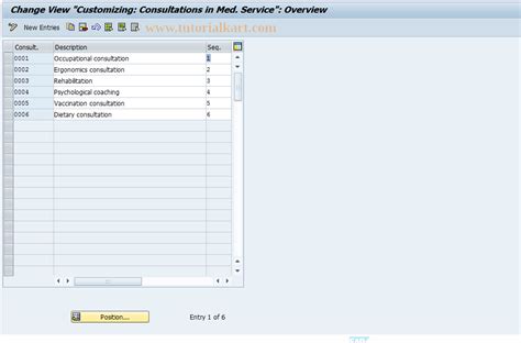 EHSCBER SAP Tcode Customizing Consultations Transaction Code