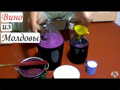 ВИНО из МОЛДОВЫ - YouTube