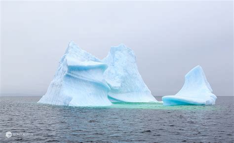 Icebergs Of Newfoundland Scott Martin Photography
